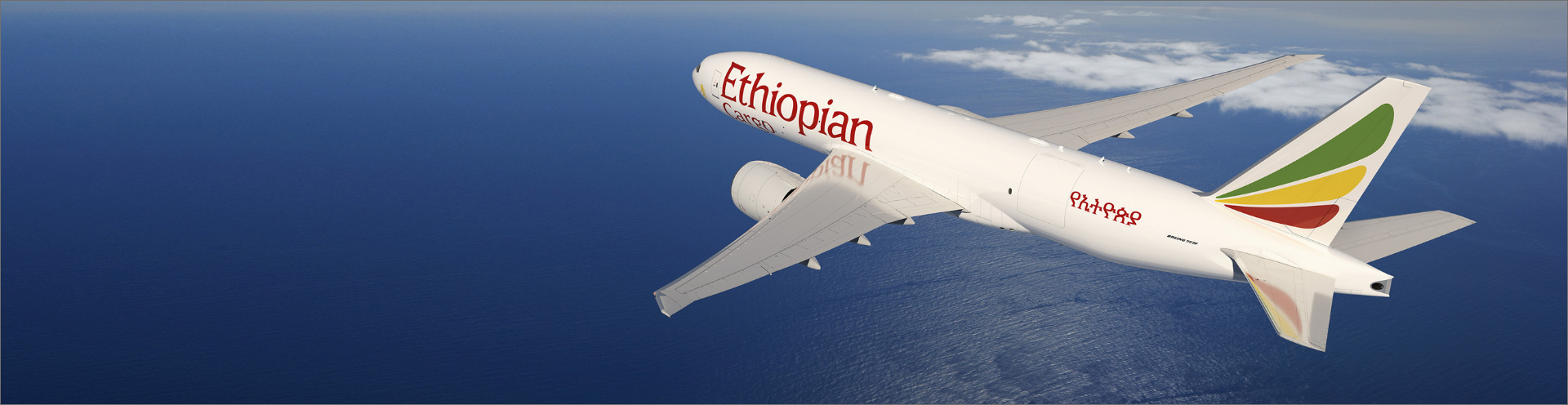 HomePage [ndc-doc.ethiopianairlines.com]